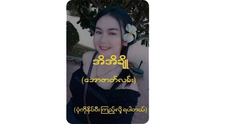 အိအိချို ဖောင်းဒိုင်းစာအုပ် အပြာစာအုပ် အောစာအုပ်များ